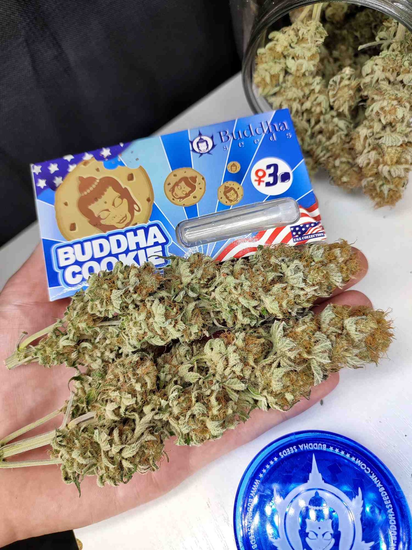 FAQs - Buddha Seeds